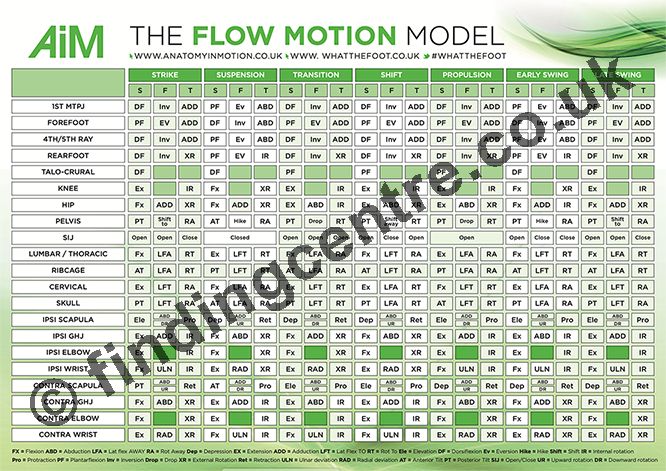 Flow Motion Model Poster A2 – Gary Ward PT Ltd / Anatomy in Motion